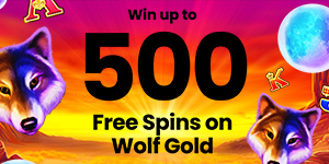 Claim up to 500 Free Spins | Promotions on Fever Slots